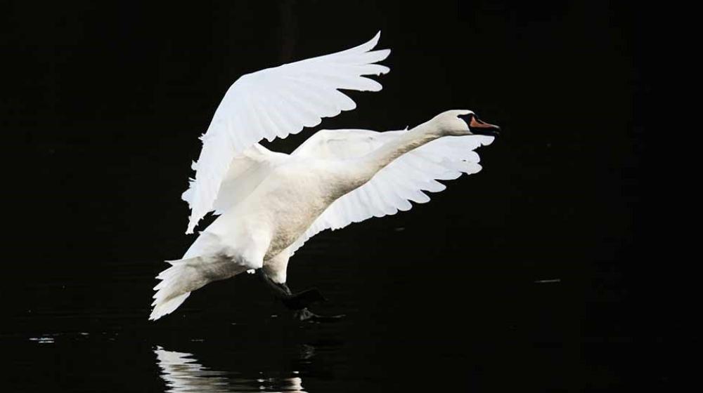 Make no (more) mistakes: Seven illusions that Georgia's government ...