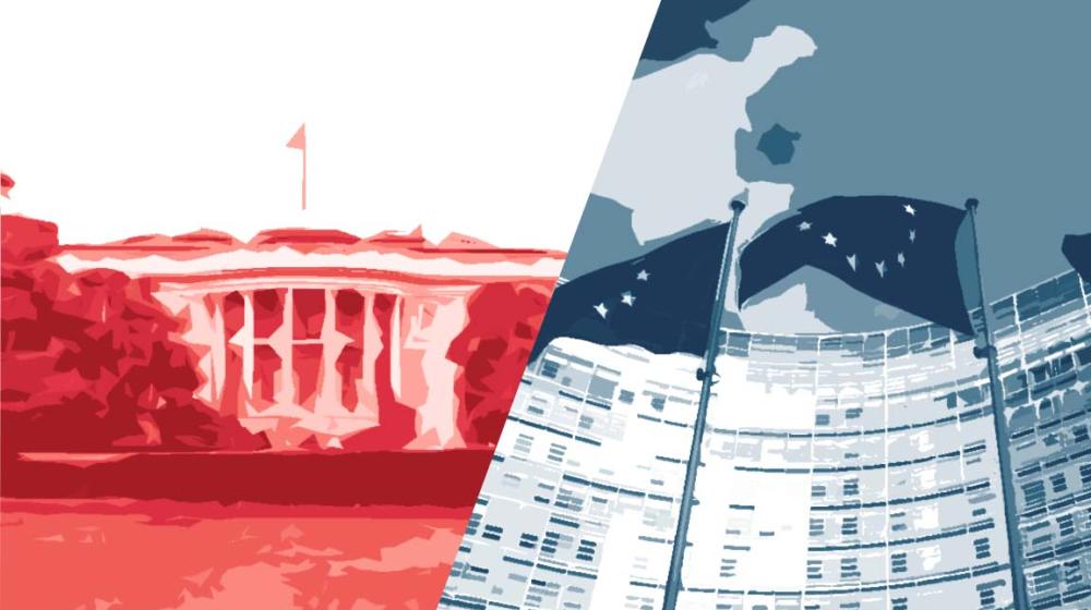 The future of democracy: lessons from the US fight against foreign ...