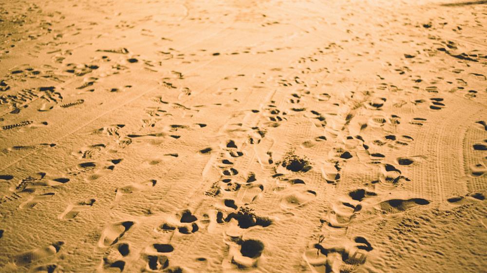 Strategic Foresight | European Union Institute for Security Studies